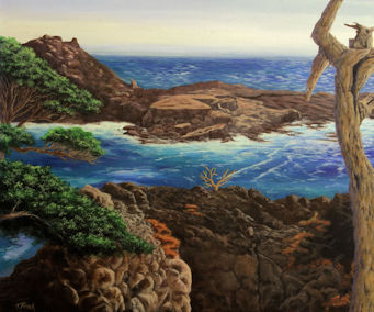 The Artwork Of Timothy Frink – Dreamweaverarts