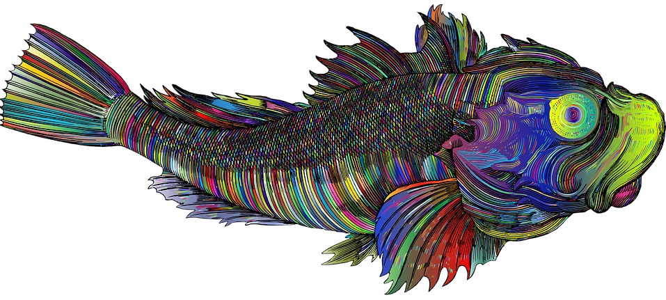 Art And Fish – Dreamweaverarts