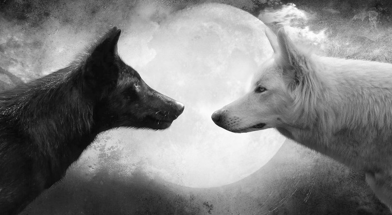 The Original Cherokee Story Of Two Wolves – Dreamweaverarts