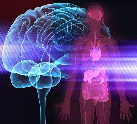 Living With Your Own Mind Only – Body Language – Dreamweaverarts