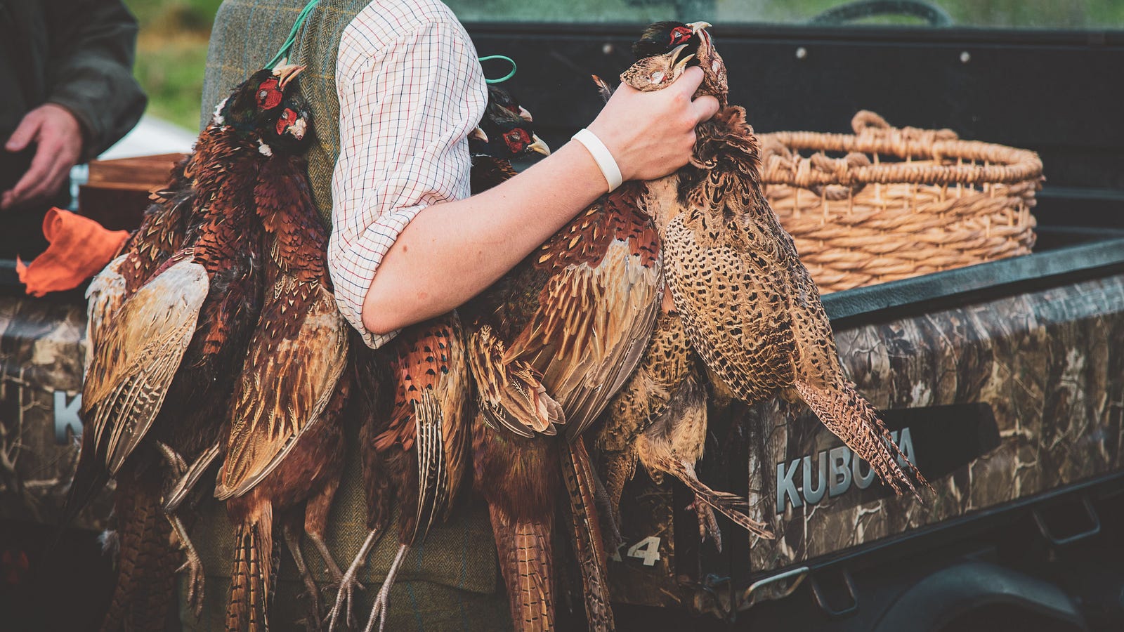 This Charming Documentary ‘The Last Keeper’ Explores All Sides Only Too Well – Dreamweaverarts